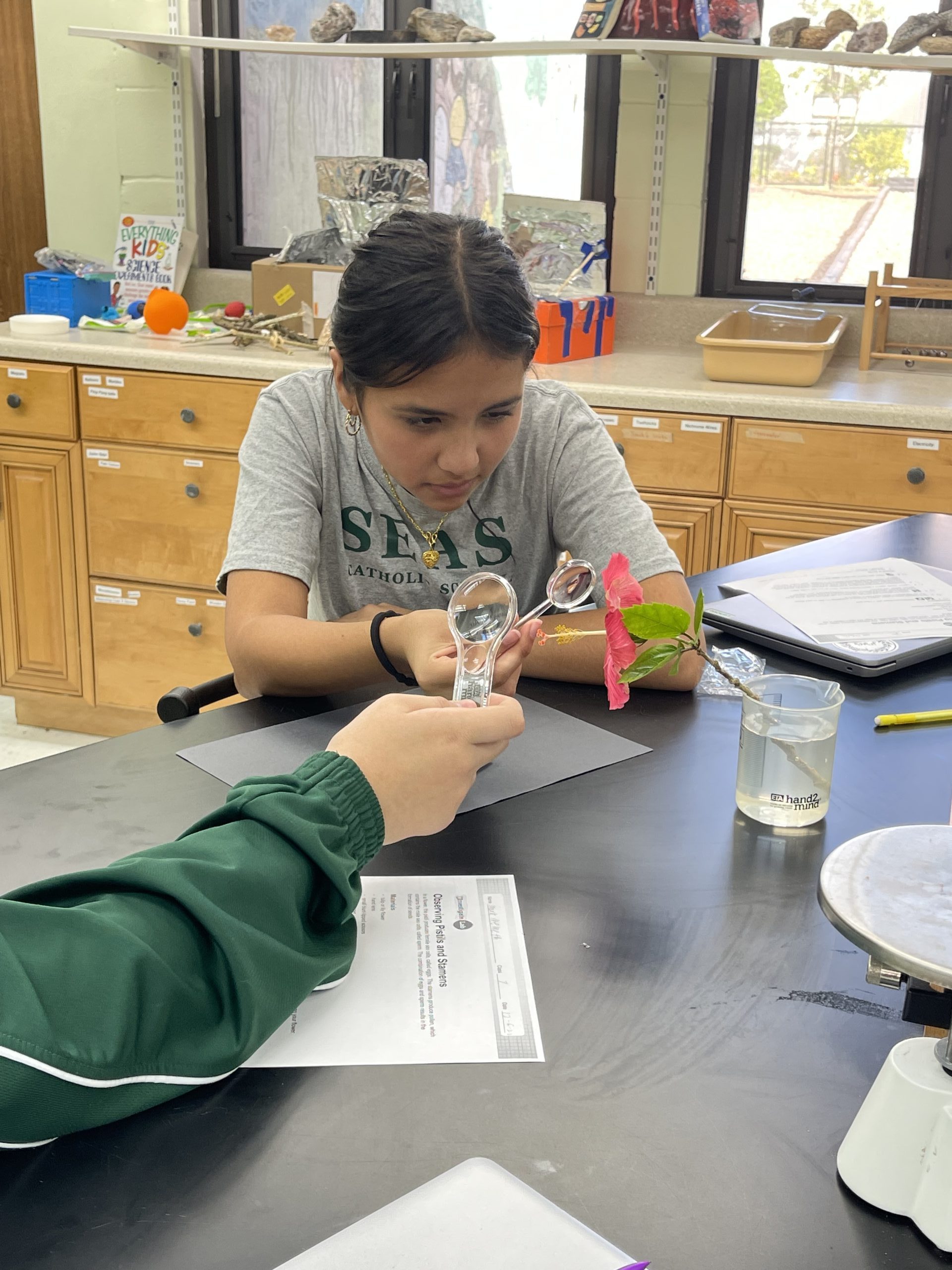 7th Grade Lab - Elizabeth Ann Seton Catholic School