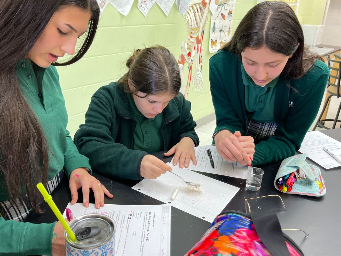 8th grade science lab - Elizabeth Ann Seton Catholic School