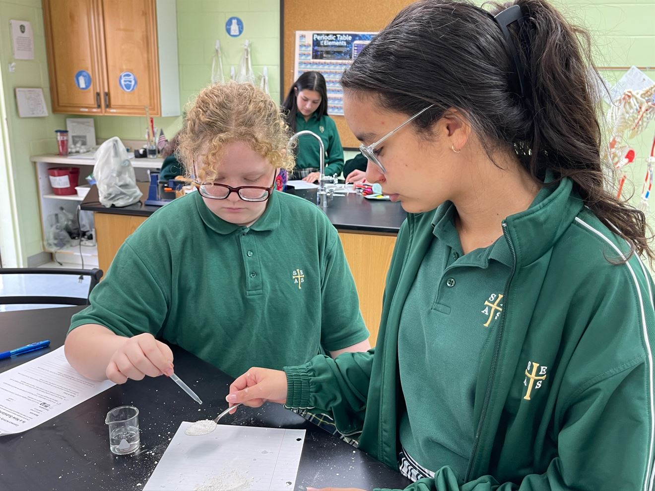8th grade science lab - Elizabeth Ann Seton Catholic School