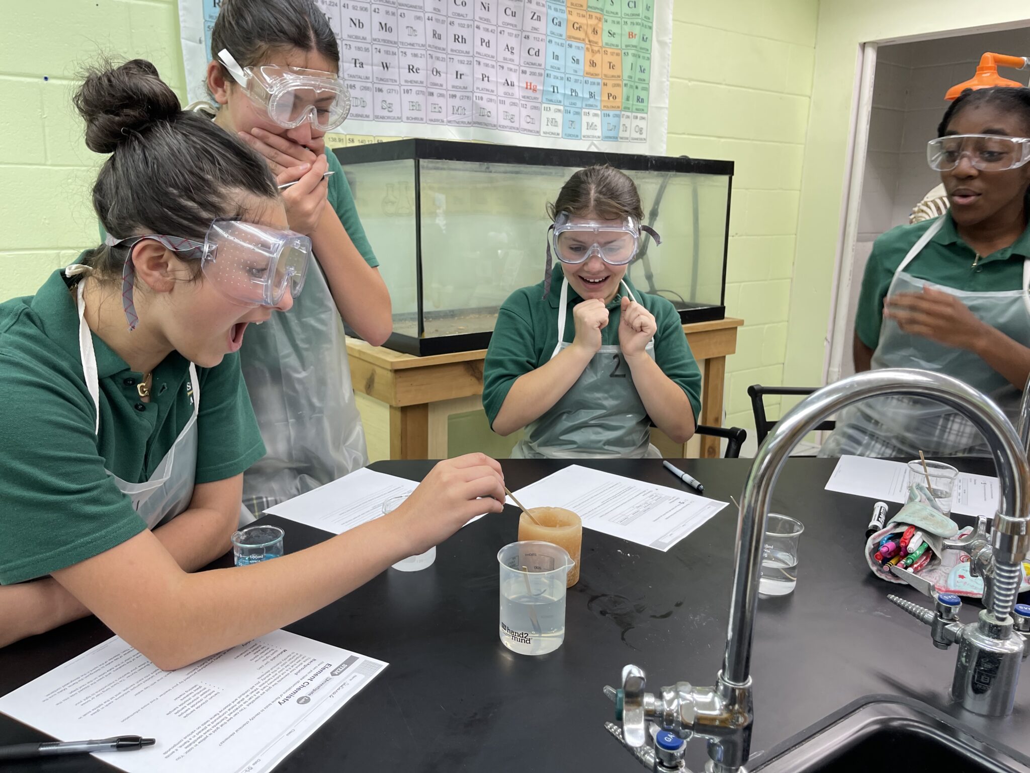 Flame Compound Experiment - Elizabeth Ann Seton Catholic School